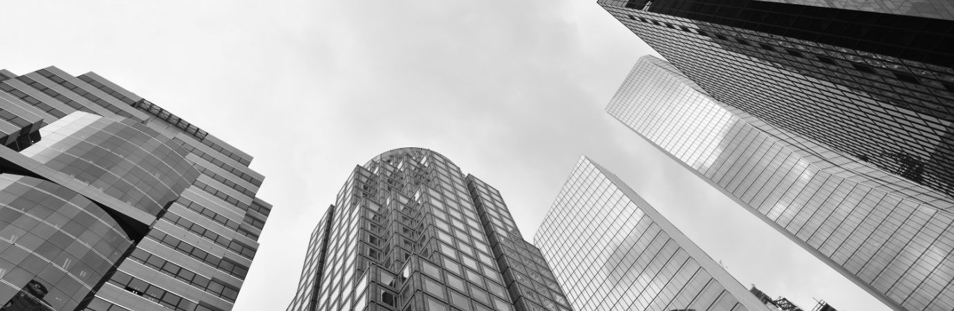 Why Invest? - Litigation Capital Management